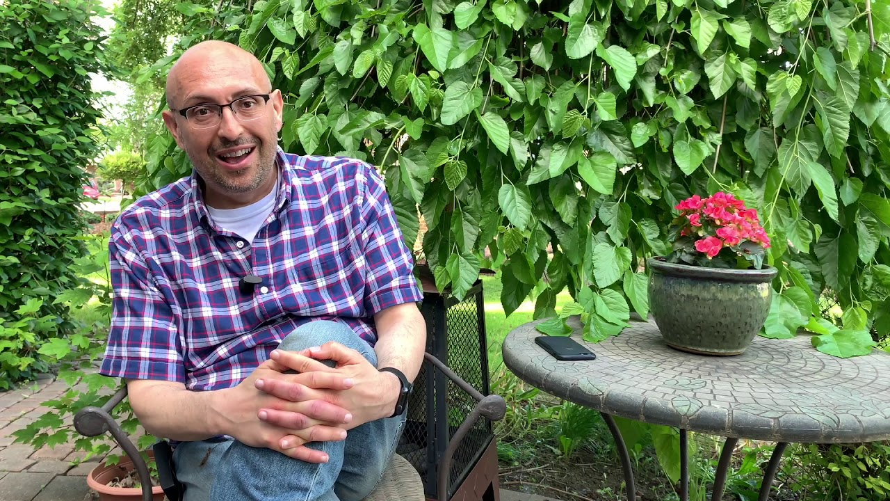 Oliver's Plant Based Journey - YouTube