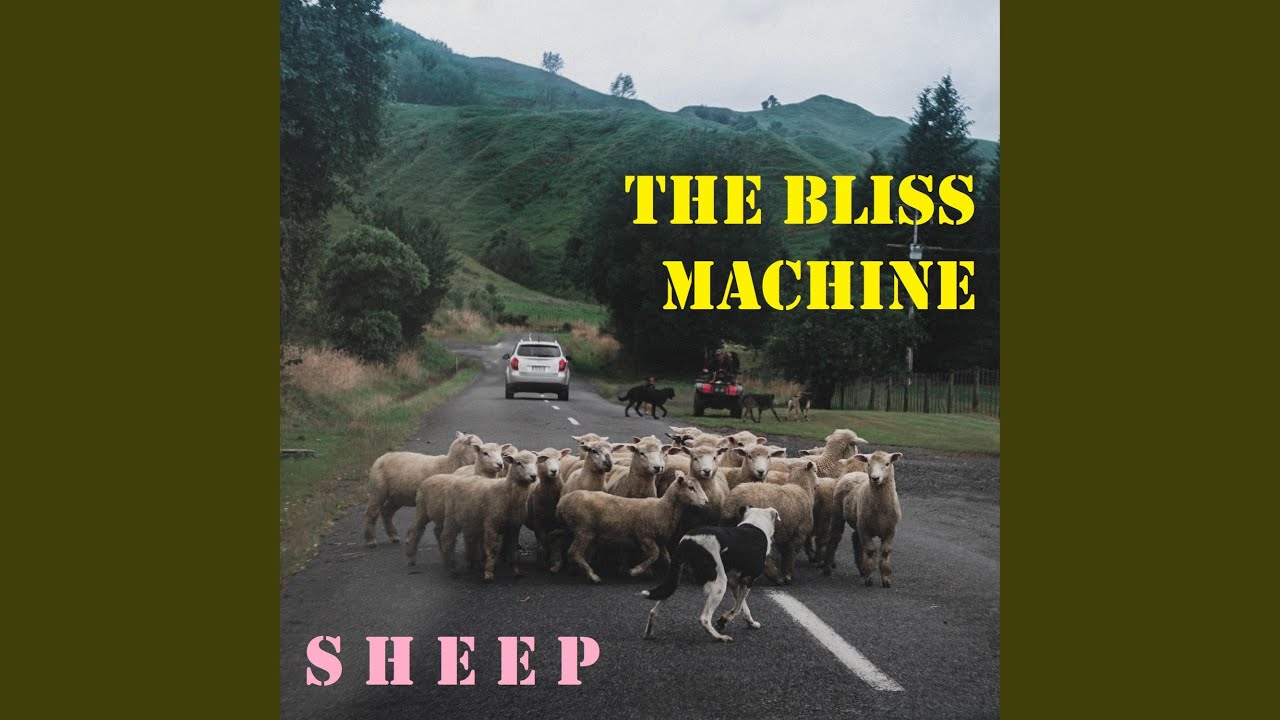 Sheep (Raving & Drooling) - YouTube