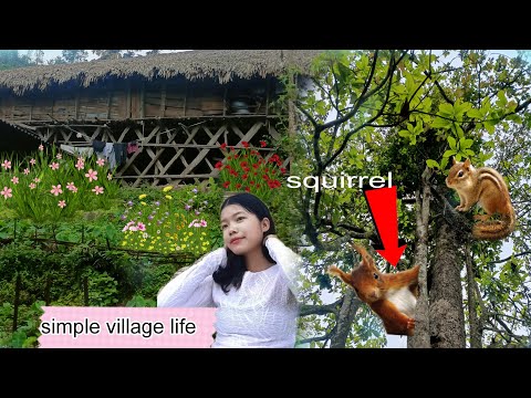 village life is the best ( #dailyvlog - YouTube