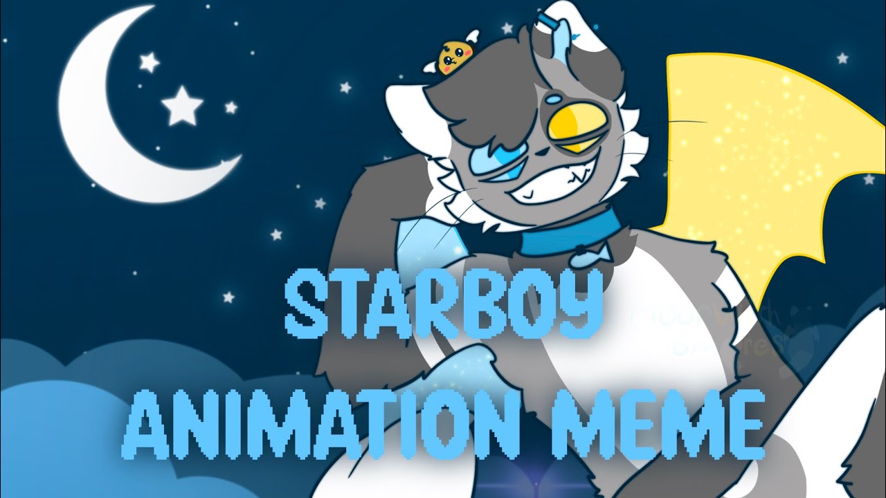 STAR BOY [Animation Meme] - YouTube