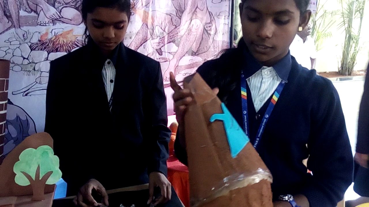 Civilization project by kids in Science Fair. - YouTube