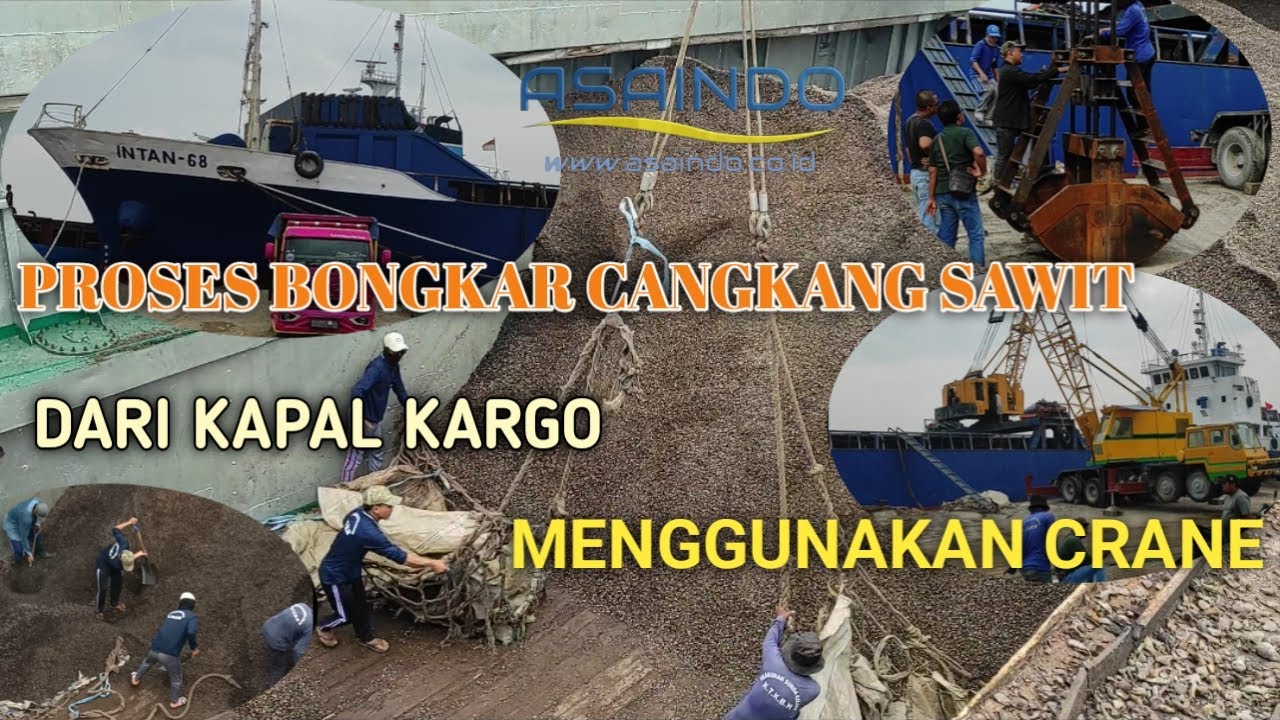 Proses Bongkar Cangkang Sawit dari Kapal Kargo menggunakan Crane | Palm ...