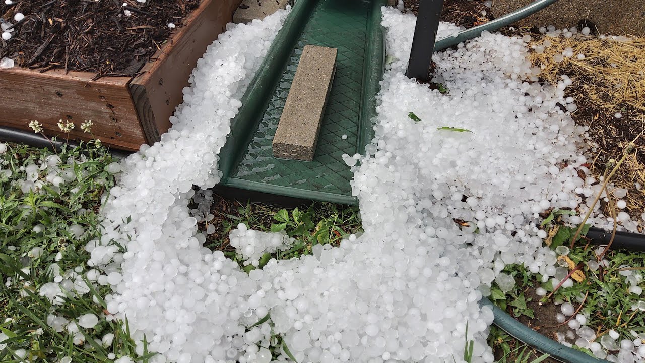 Hail Storm Just Destroyed Most Of The Garden 6/25/23 - YouTube
