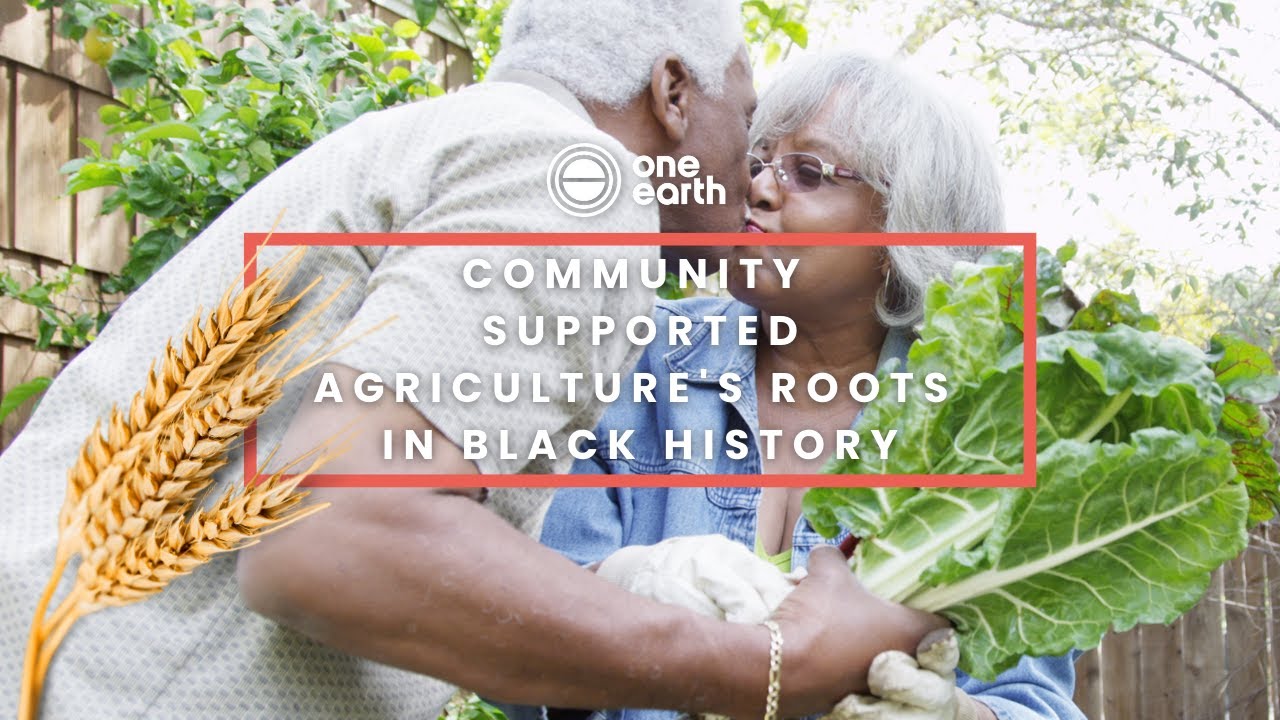 Community Supported Agriculture and Black history | One Earth - YouTube