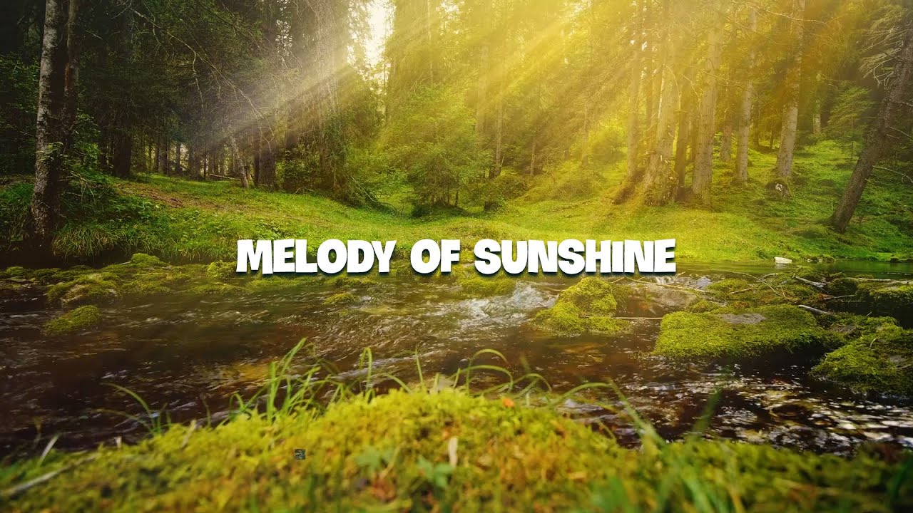 Relaxing with melody of sunshine | A gentle, inspiring solo piano music ...