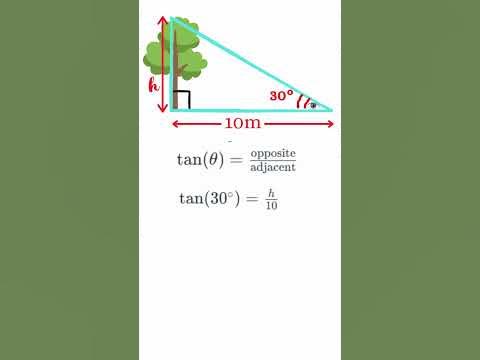 Using Trigonometry to Determine the Height of a Tall Object! 🌳📏 #Shorts ...