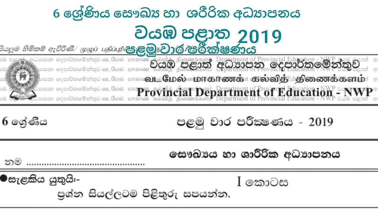 grade 6 health nwp first term test paper 2019 /6 ශ්‍රේණිය සෞඛ්‍ය පළමු ...