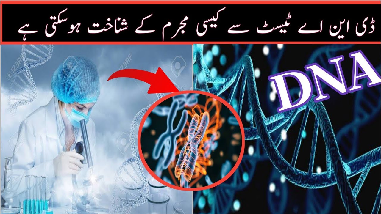 What Is DNA Test what s The Procedure Of Dna Test nabi Tv YouTube what-is-dna-test-what-s-the-procedure-of-dna-test-nabi-tv-youtube