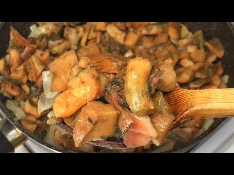 Çıntar Mantarı Nasıl Pişirilir |Kanlıca Mantarı |Çintar |Saffron Milk Cap Recipe |Pine Mushrooms