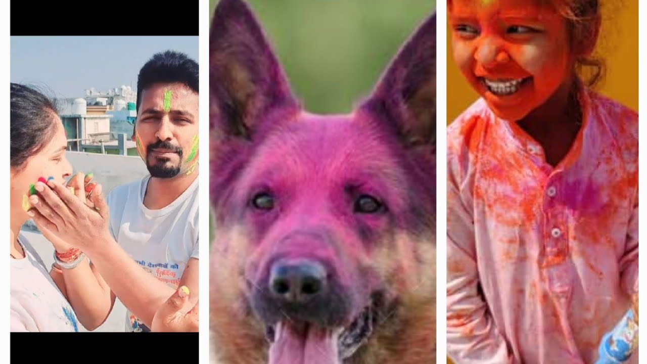 Holi Celebration with Family and Dog //Dog ke Sath Manai Holi //Happy ...