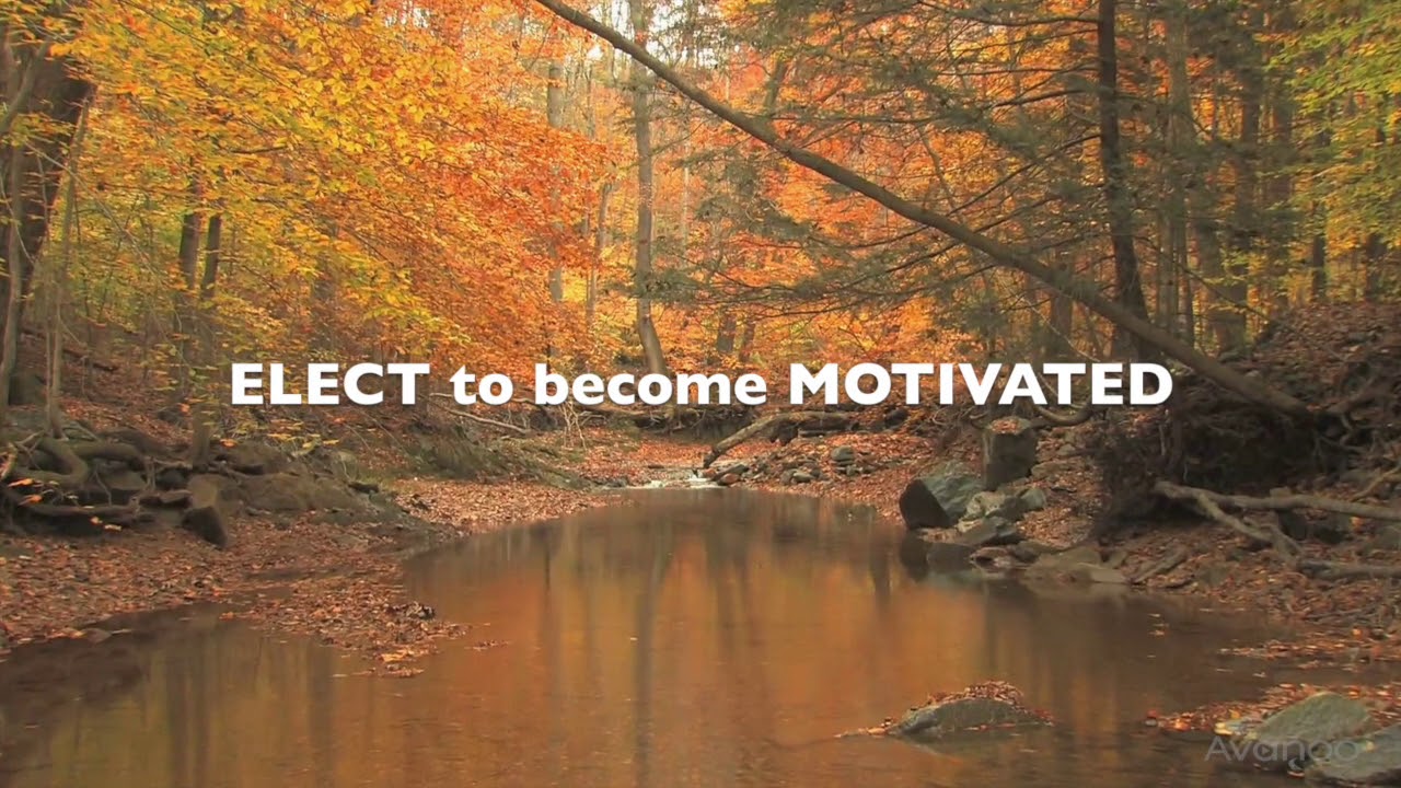 Bob Whipple Day13 the truth and myth about motivation - YouTube