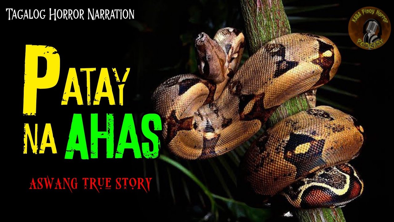 PATAY NA AHAS (ASWANG TRUE STORY) PINOY HORROR KWENTONG ASWANG - YouTube