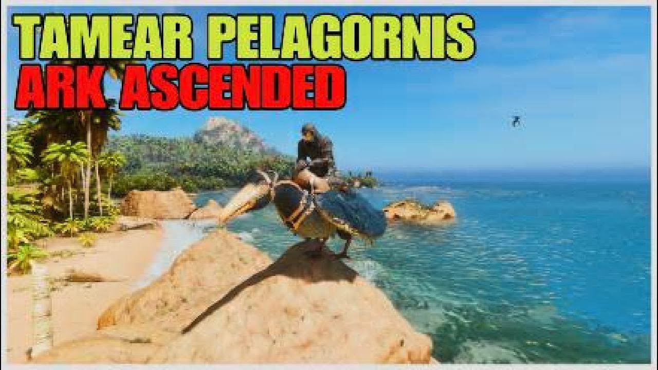 como TAMEAR un PELAGORNIS en ARK ASCENDED (en 1 minuto) [ASA] 🪿 - YouTube