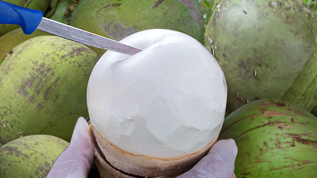 Coconut Harvesting and Cutting Skills That Are on Another Level - YouTube