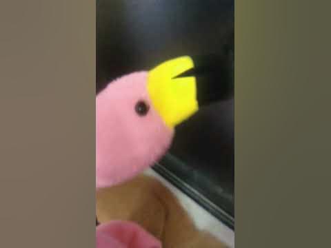 розовый гусь - YouTube