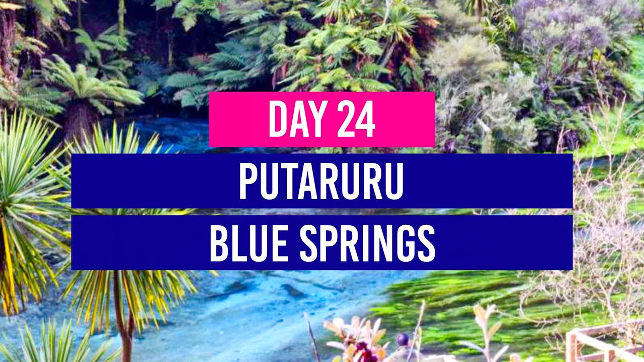 DAY 24 💙 Putaruru Blue Springs - New Zealand Travel - YouTube