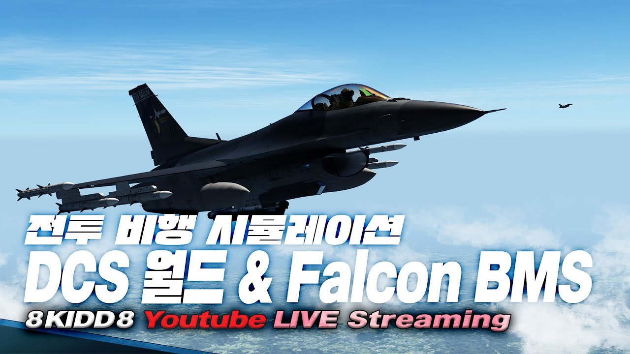 WW2~근현대 전투비행 게임🦅DCS 월드 | BMS🦅QHD 60FPS | HEVC 18Mbps - YouTube