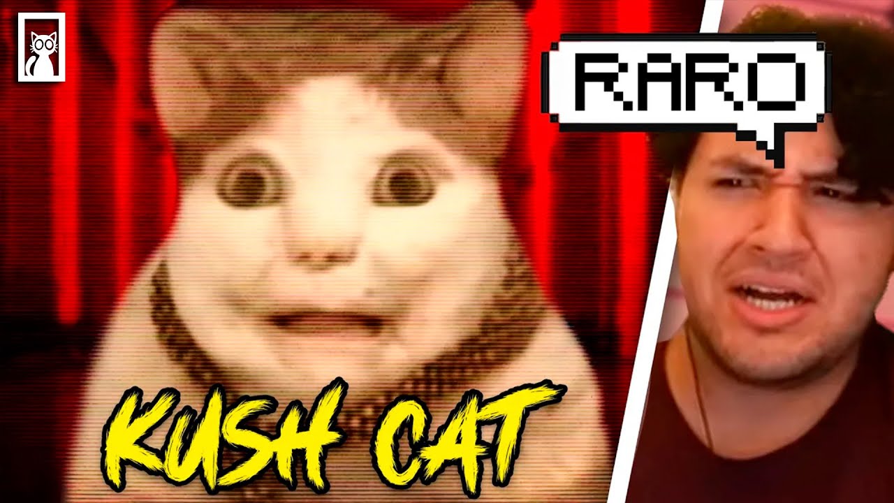 Sabes QUIEN es KUSH CAT? - YouTube