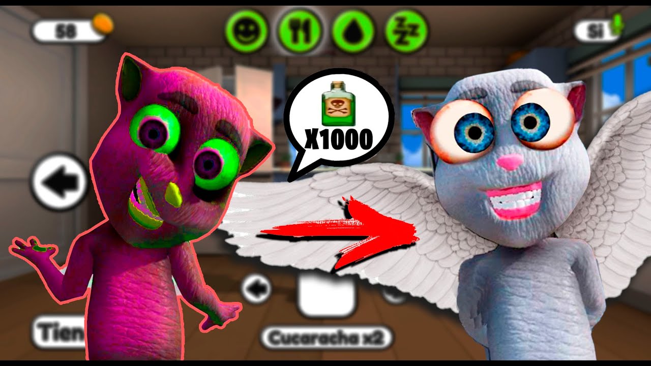 Cat Tom Juan - Talking cat Juan became a demon and spoke! - YouTube