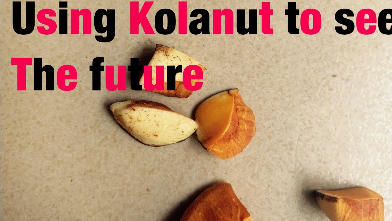 How To See The Future Using The Kolanut theseer divination how-to-see-the-future-using-the-kolanut-theseer-divination