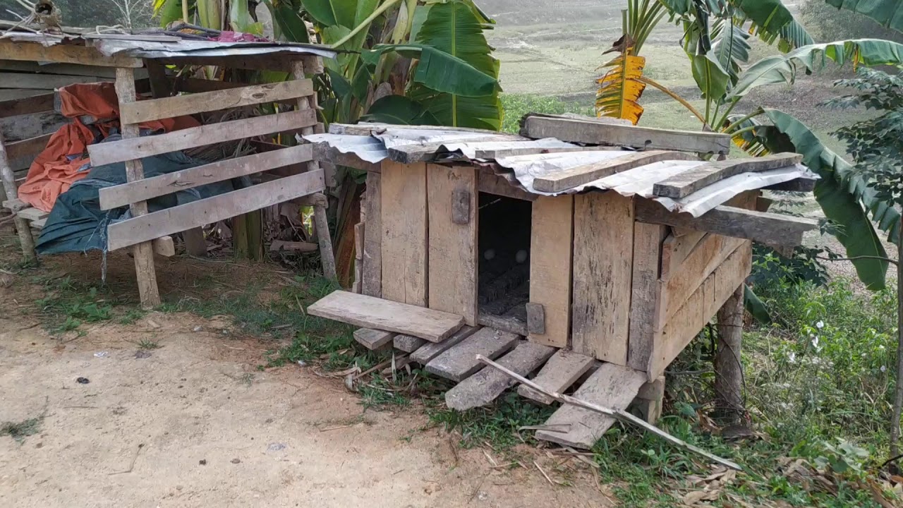 A beautiful Chakma Village house . - YouTube