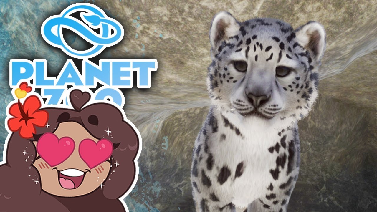 Birth of SNOW LEOPARD Cubs!! 🐏 Planet Zoo: Ice Ice Outpost • #25 - YouTube