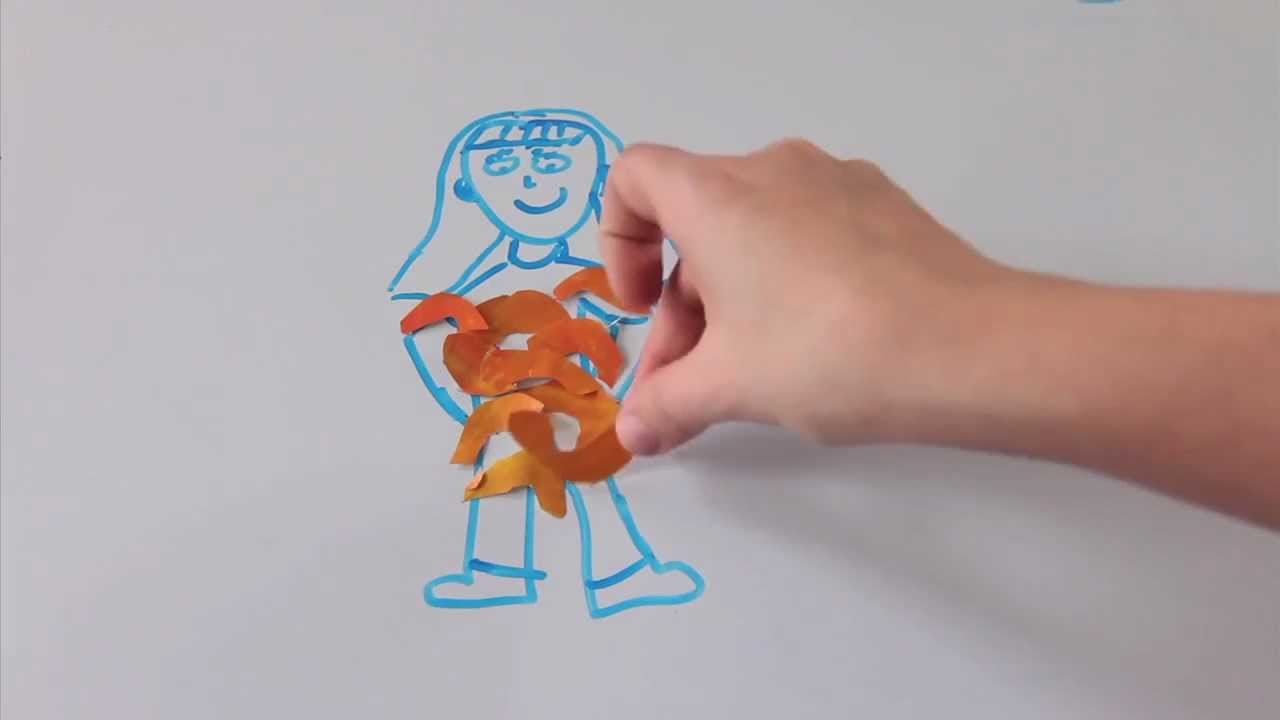 Questionable Drawings: Episode 2 with Shannon Coffey - YouTube