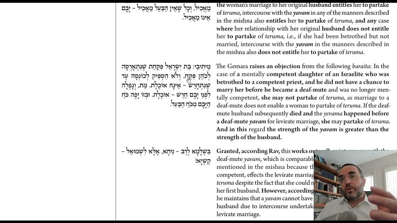 Daf Yomi - Yevamot 56 - When Can a Yevama Eat Terumah? - YouTube