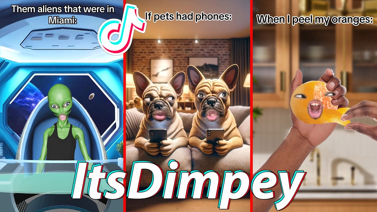 Funny ItsDimpey TikToks 2024 | Best Its Dimpey TikTok Shorts @Imdimpey ...