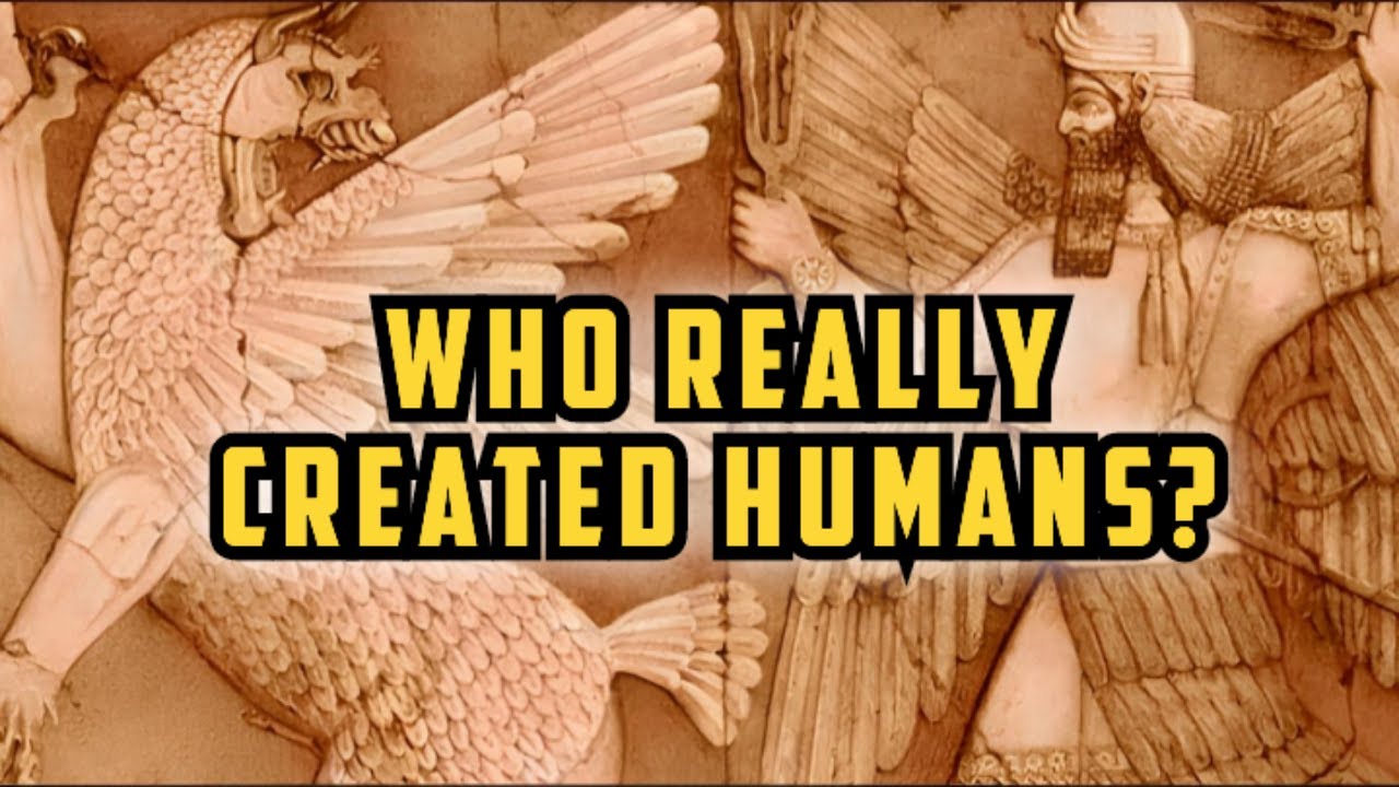 Who Really Created Humans? The Origins of Human Beings According to ...