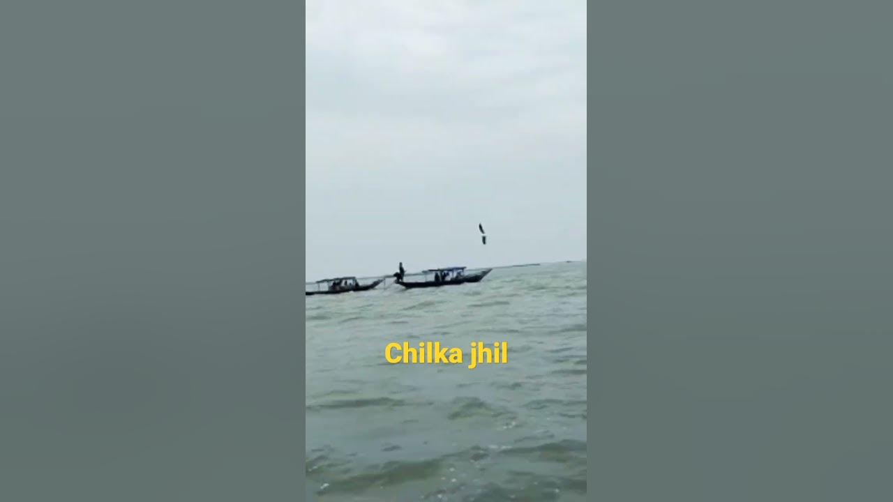 Chilka Jhil Masti Time Youtube