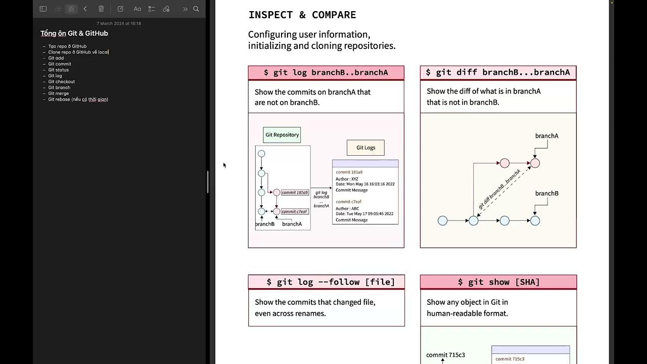 Ôn tập Git & GitHub - YouTube