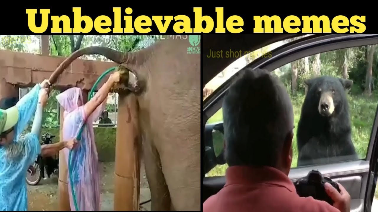 Unbelievable Memes | shot on iPhone | meme compilation, - YouTube