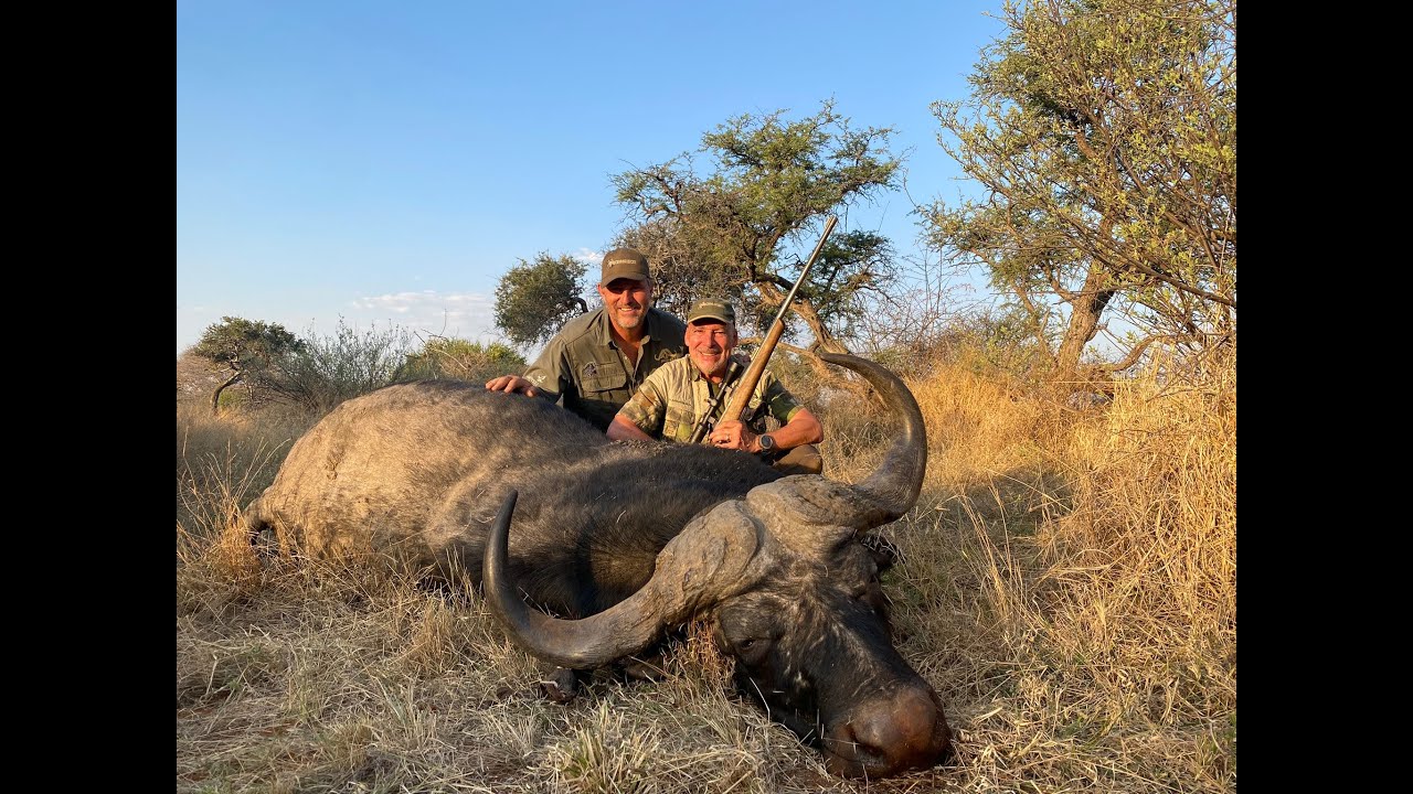 Buffalo Hunted at Schoongezicht. Hard work finally pays off. - YouTube