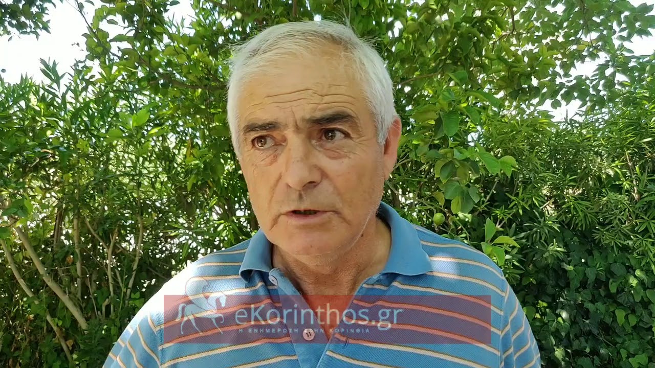 Δεκάδες ψοφιμια σε αυτοσχέδια χωματερή εστία μολυνσης - YouTube