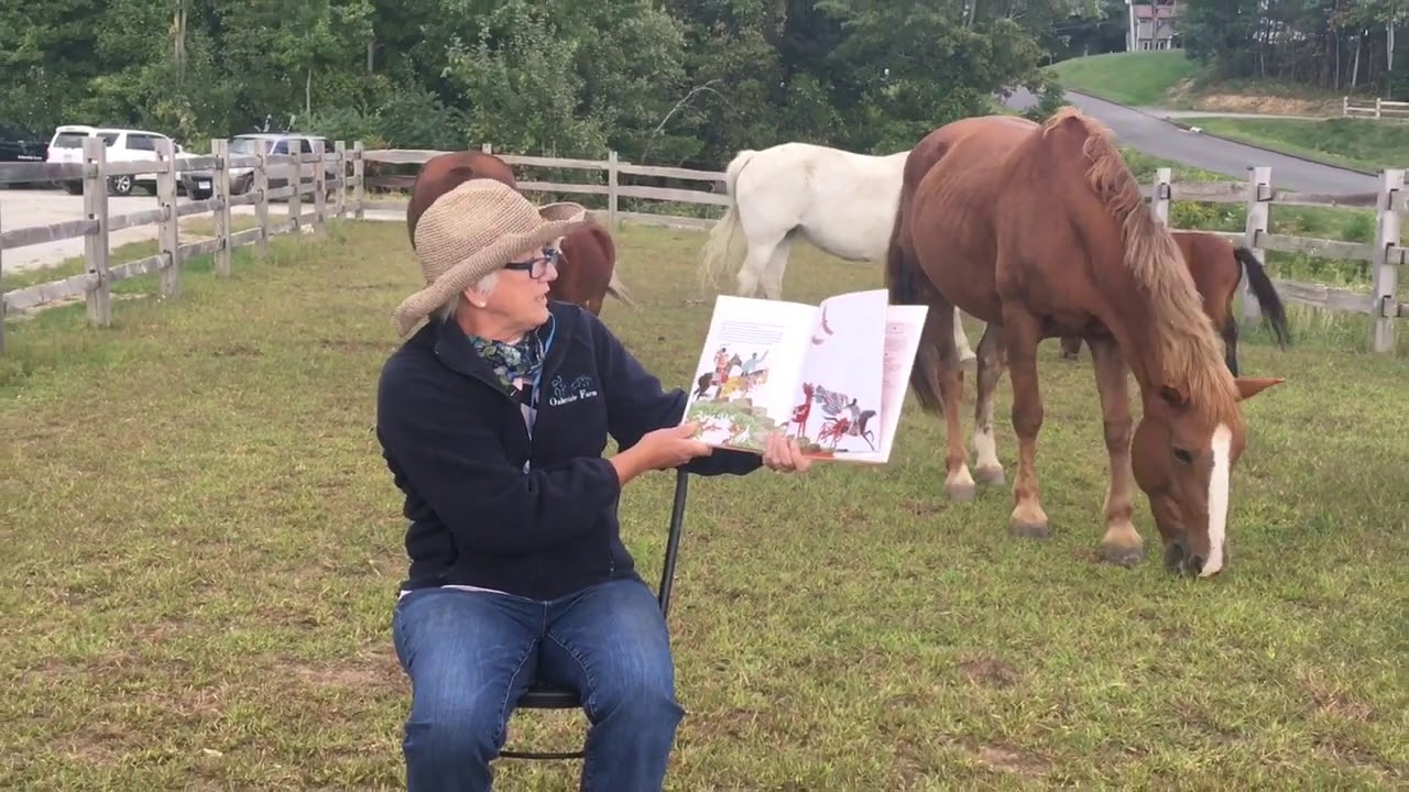 Miss Sheila presents The Girl Who Loved Wild Horses - YouTube