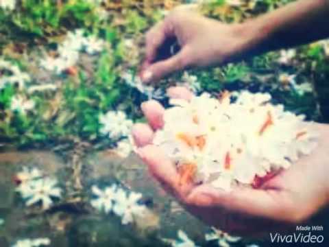 Bokul Ful Bokul Ful (Joler Gaan) - YouTube