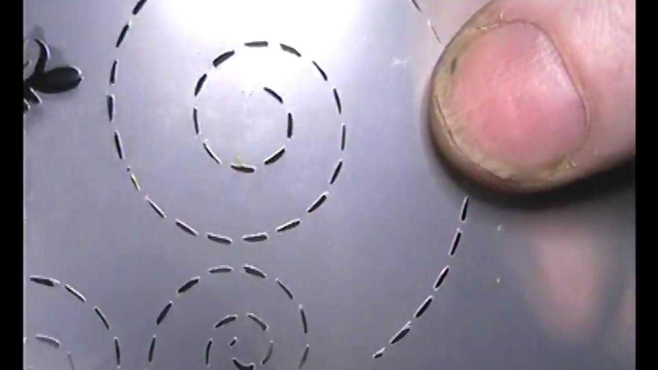 Hand Engraving Scroll Filigree Perfect Spiral backbones Every Time ...