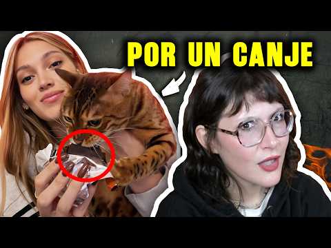 Cancelaron a Sasha Ferro por lo que le hizo a su gato (¿Fue para tanto?)😾  @teconanita