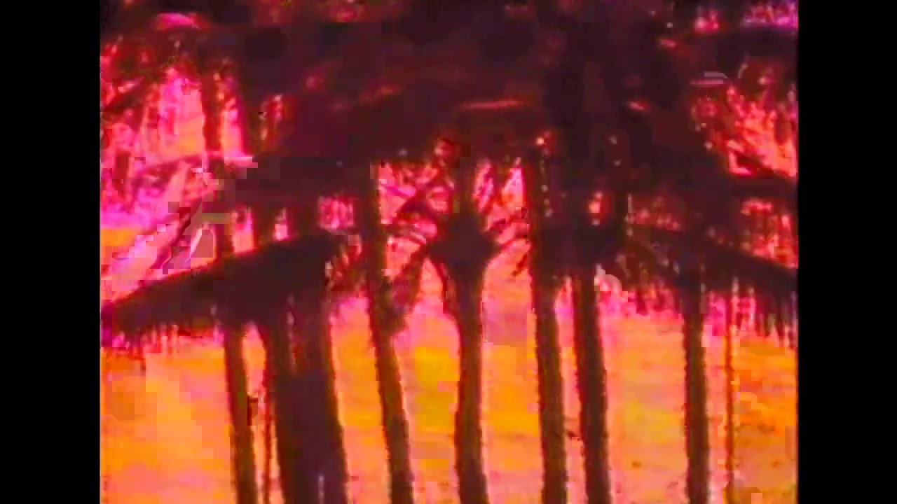 Sapientdreams Past Lives legendado YouTube sapientdreams-past-lives-legendado-youtube