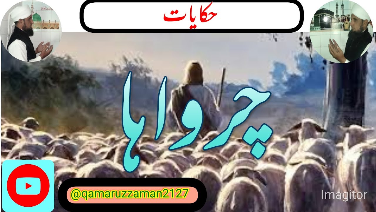 Hikayat charwaha حکایت چرواہا - YouTube