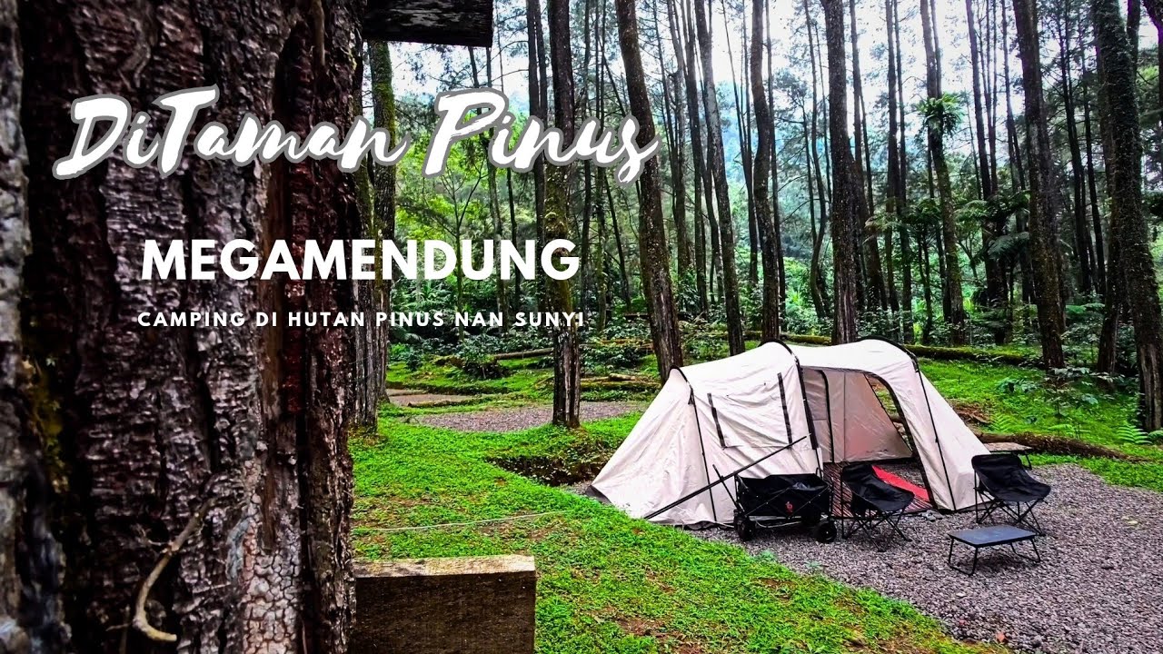 TAMAN PINUS Camping Ground | Camping Ceria | Camping Keluarga | Bogor ...