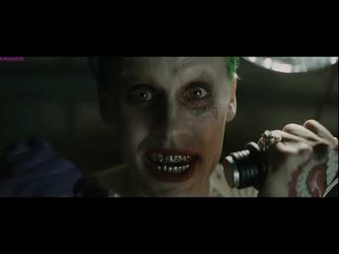 Suicide Squad 2016 | Le Roi et Reine de Gotham City Extrait en Français Vf