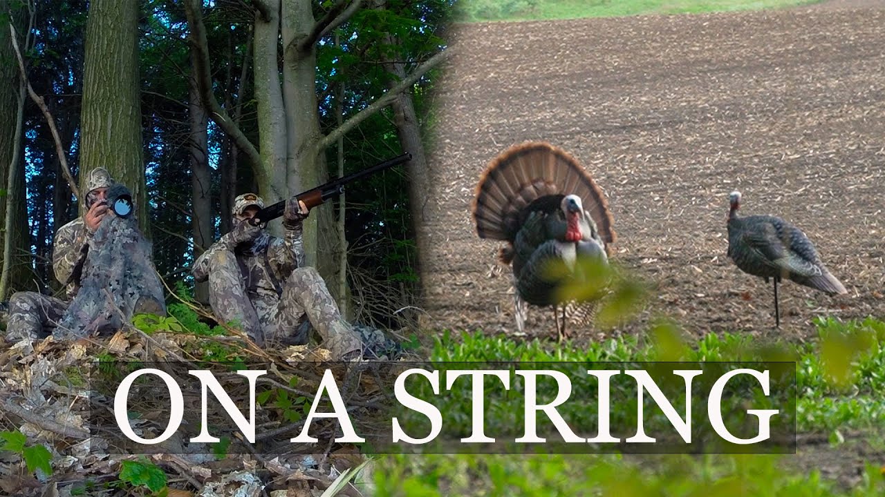 TURKEY HUNT ON A STRING! - YouTube