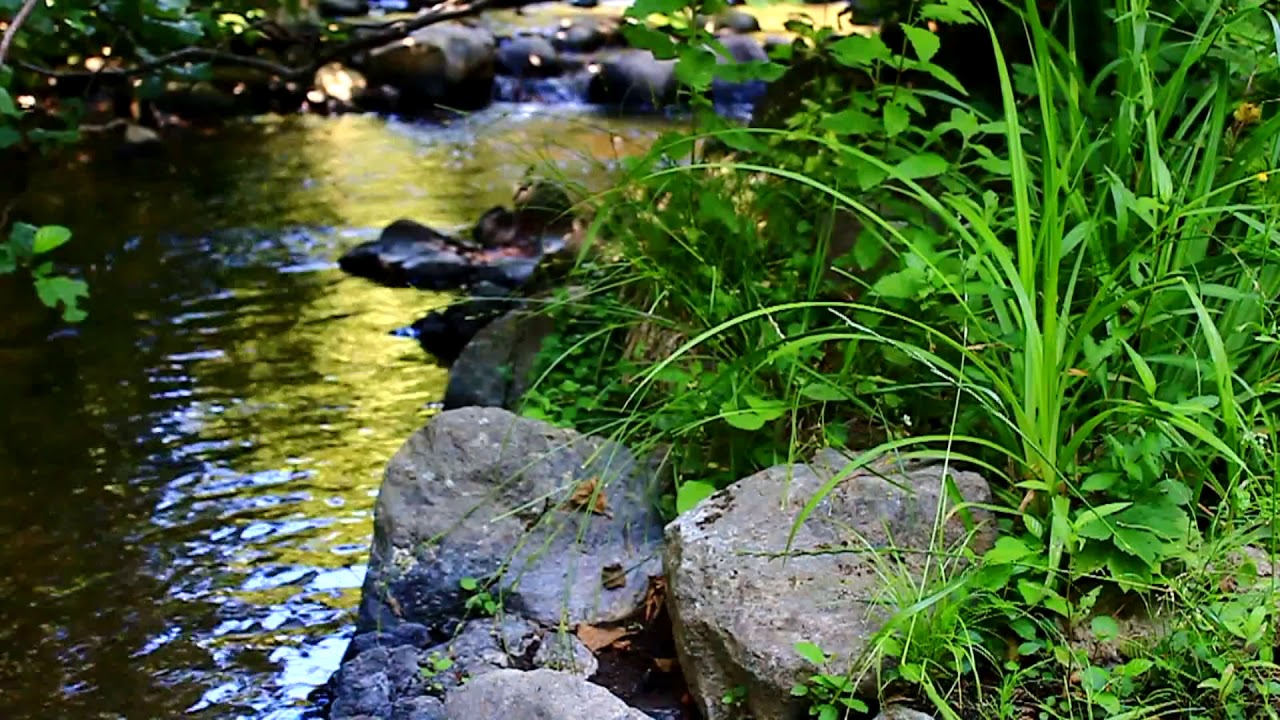 River Water Flowing Stream - Copyright Free Stock Footage Clip - YouTube