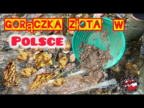 Gorączka Złota w Polsce 👌