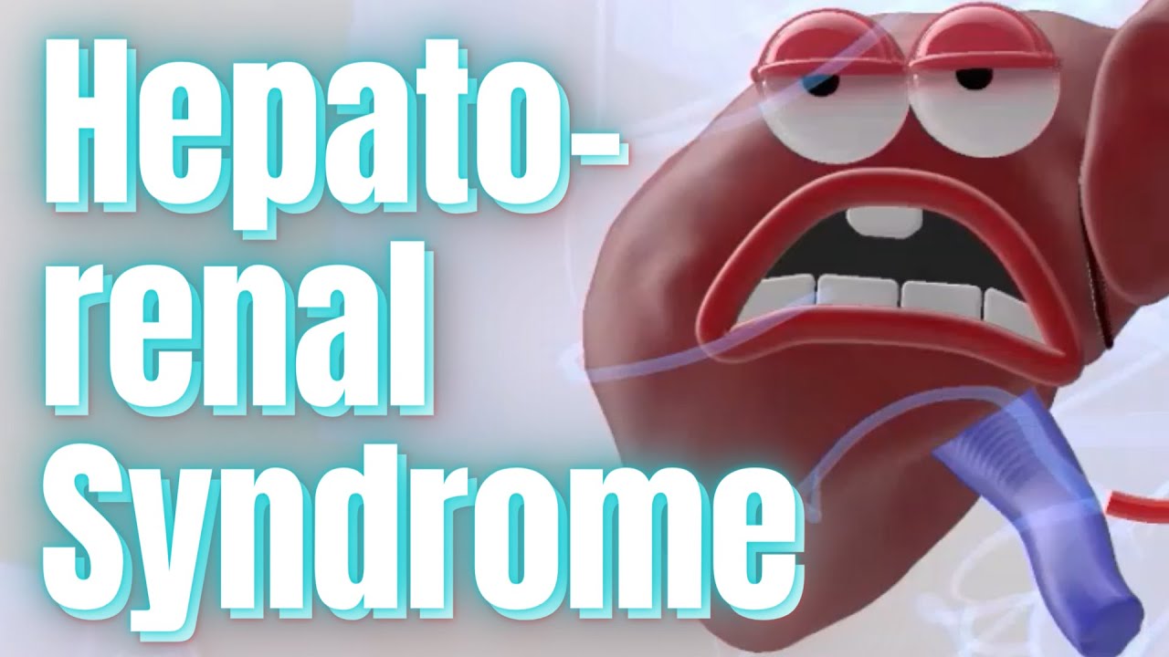 Hepatorenal Syndrome: Explained CLEARLY! - YouTube