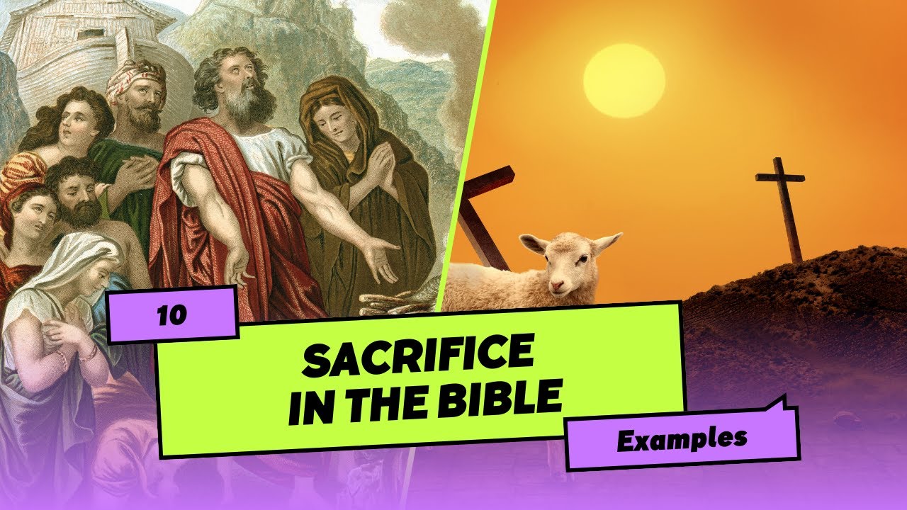 Biblical Sacrifices: 10 Stories That Inspire You - YouTube