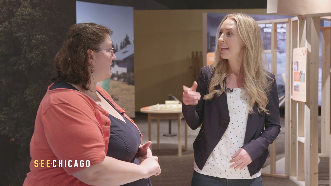 Chicago's Best Nature Museum: Peggy Notebaert Nature Museum - YouTube