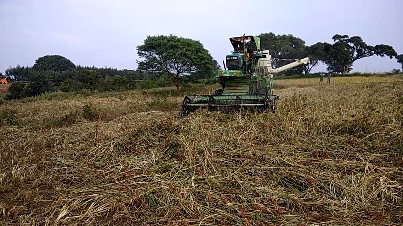 Ragi harvesting machine - YouTube